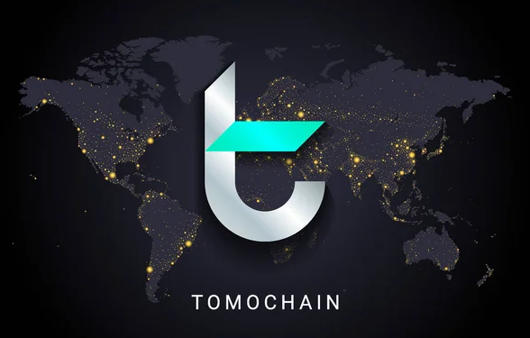 TomoChain cryptocurrency - how it works, technology and prospects